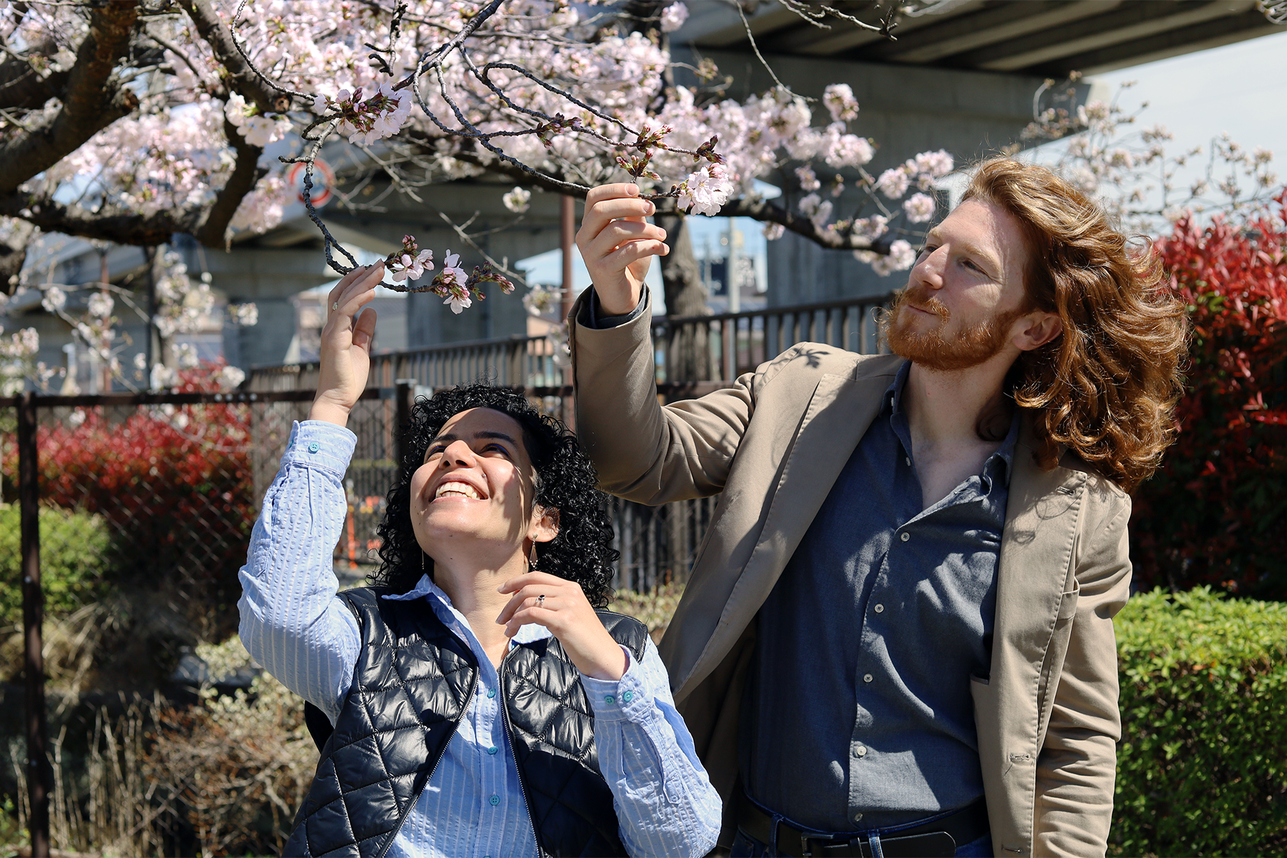 Research and Development - internship - Yamaha Corporation